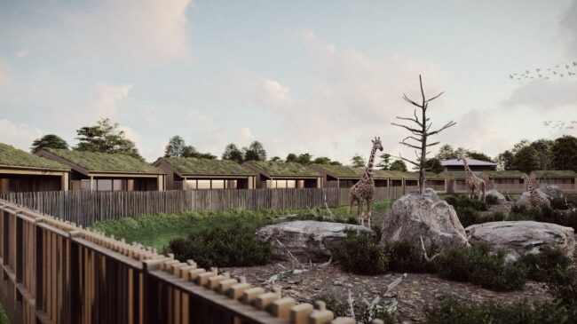 Chester Zoo’s 51 luxury lodges on track for 2025 finish - Place North West