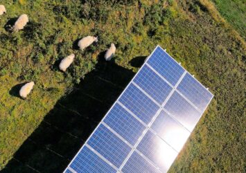 Giant 160-acre solar farm planned for Anglesey - Place North West