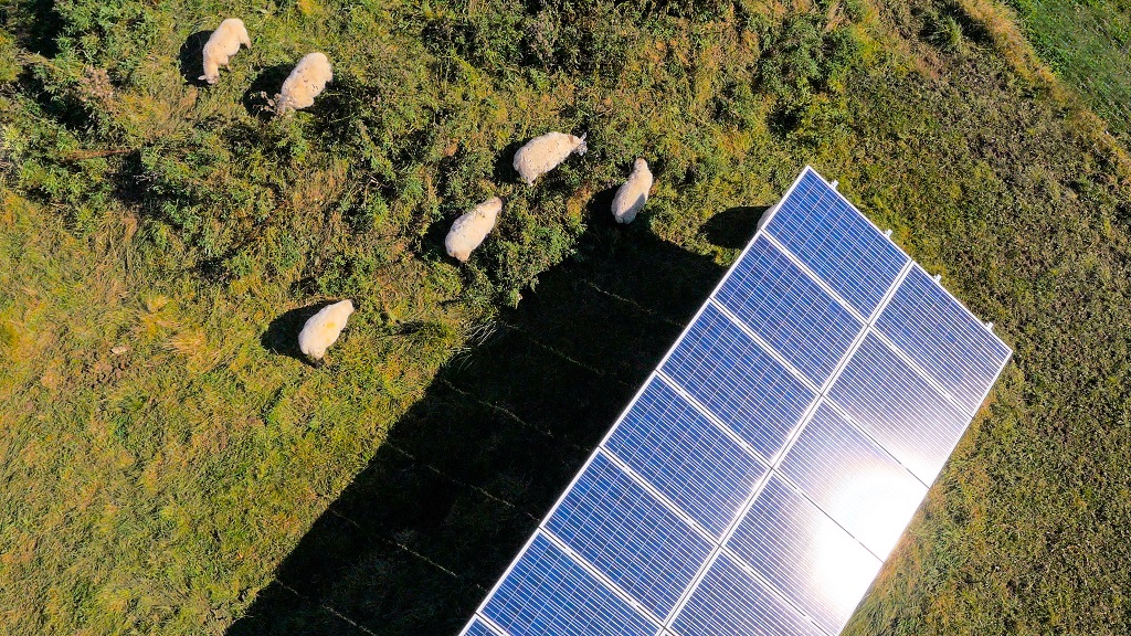 Giant 160-acre solar farm planned for Anglesey - Place North West