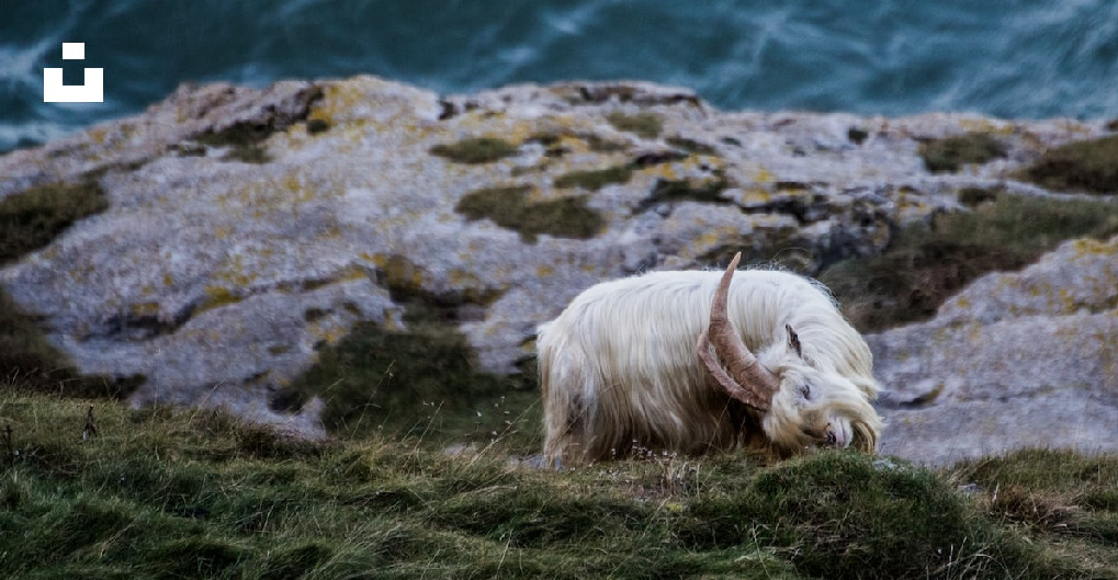 THING OF THE WEEK - Place North West