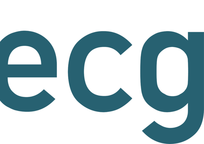 BECG on board for Place partnership in 2021 - Place North West