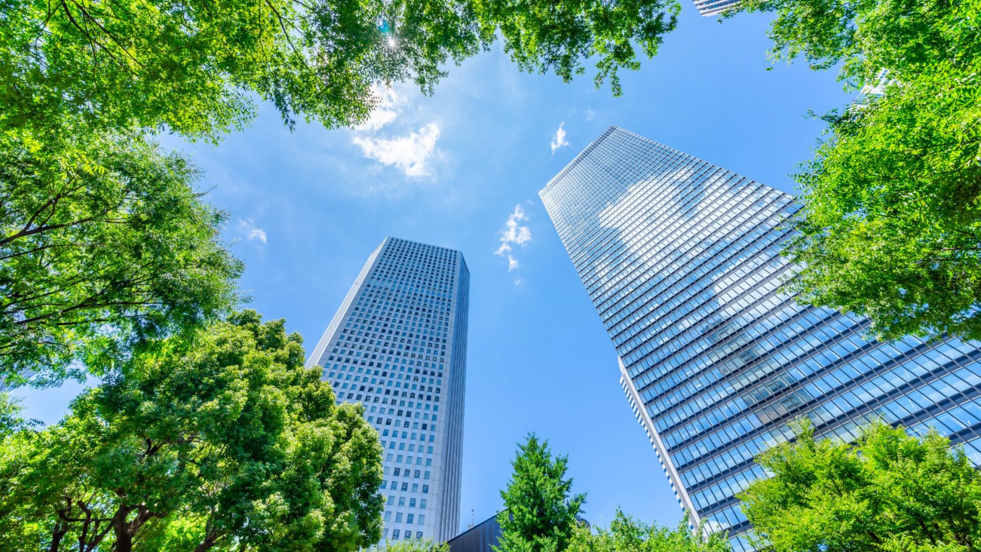 An insight into MEES Solutions - Place North West